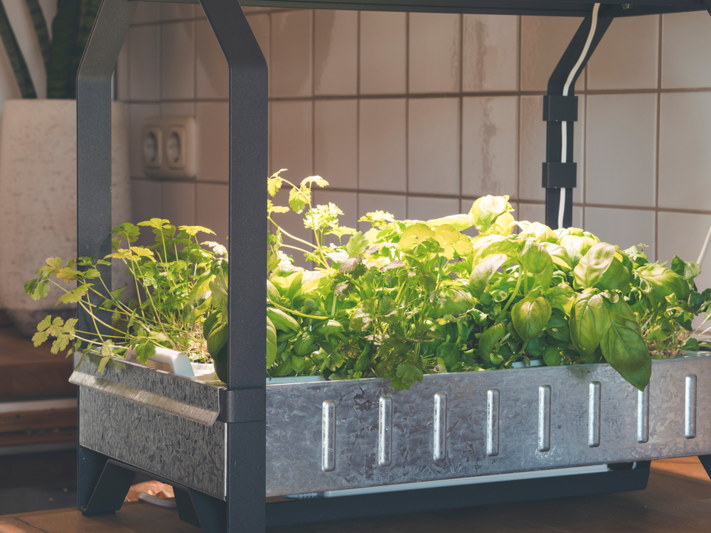A DIY Hydroponics Guide - Elite Hydroponics