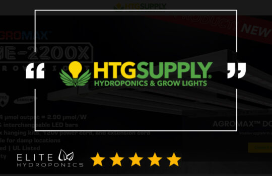 How To Build The Best Hydroponic System - Elite Hydroponics