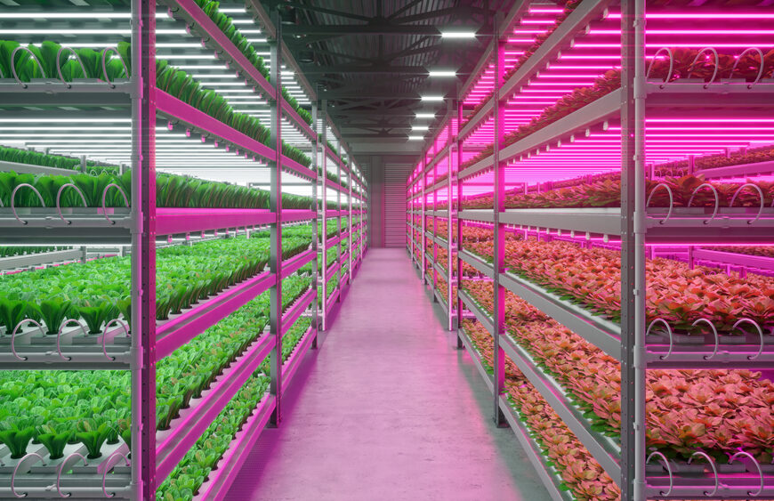 How To Build The Best Hydroponic System - Elite Hydroponics